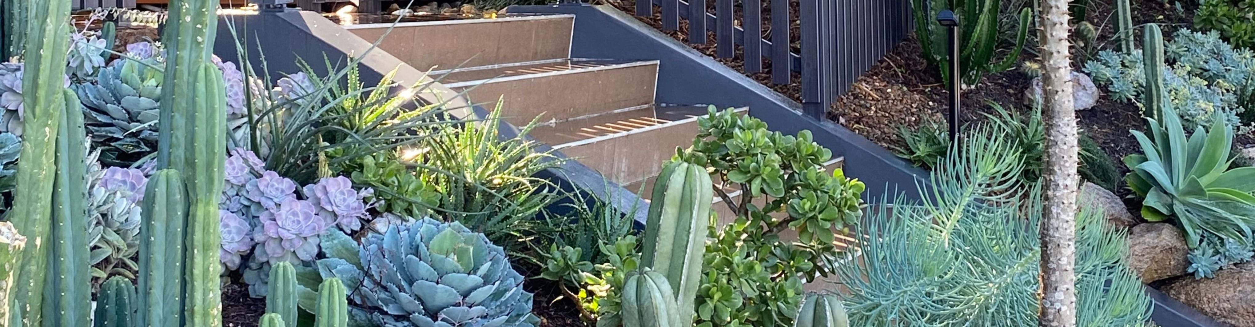 Landscape Queensland | Leading Landscaping Industry Authority in ...